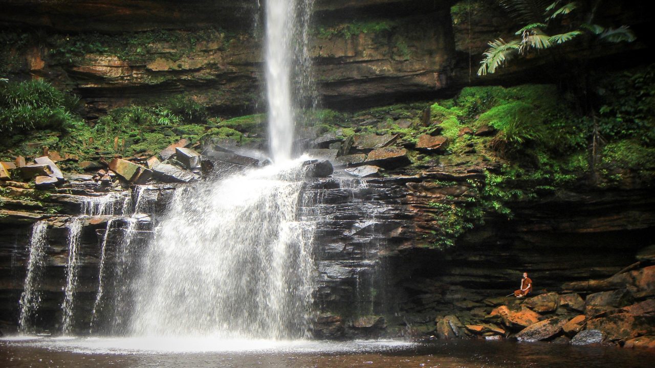 Forest Monks Going Wild – Sāsanārakkha Buddhist Sanctuary