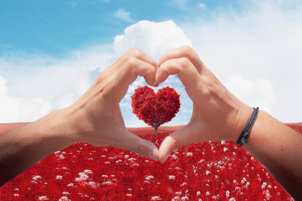 Growing Our Heart and Mind in Times of COVID-19 – Sāsanārakkha Buddhist ...